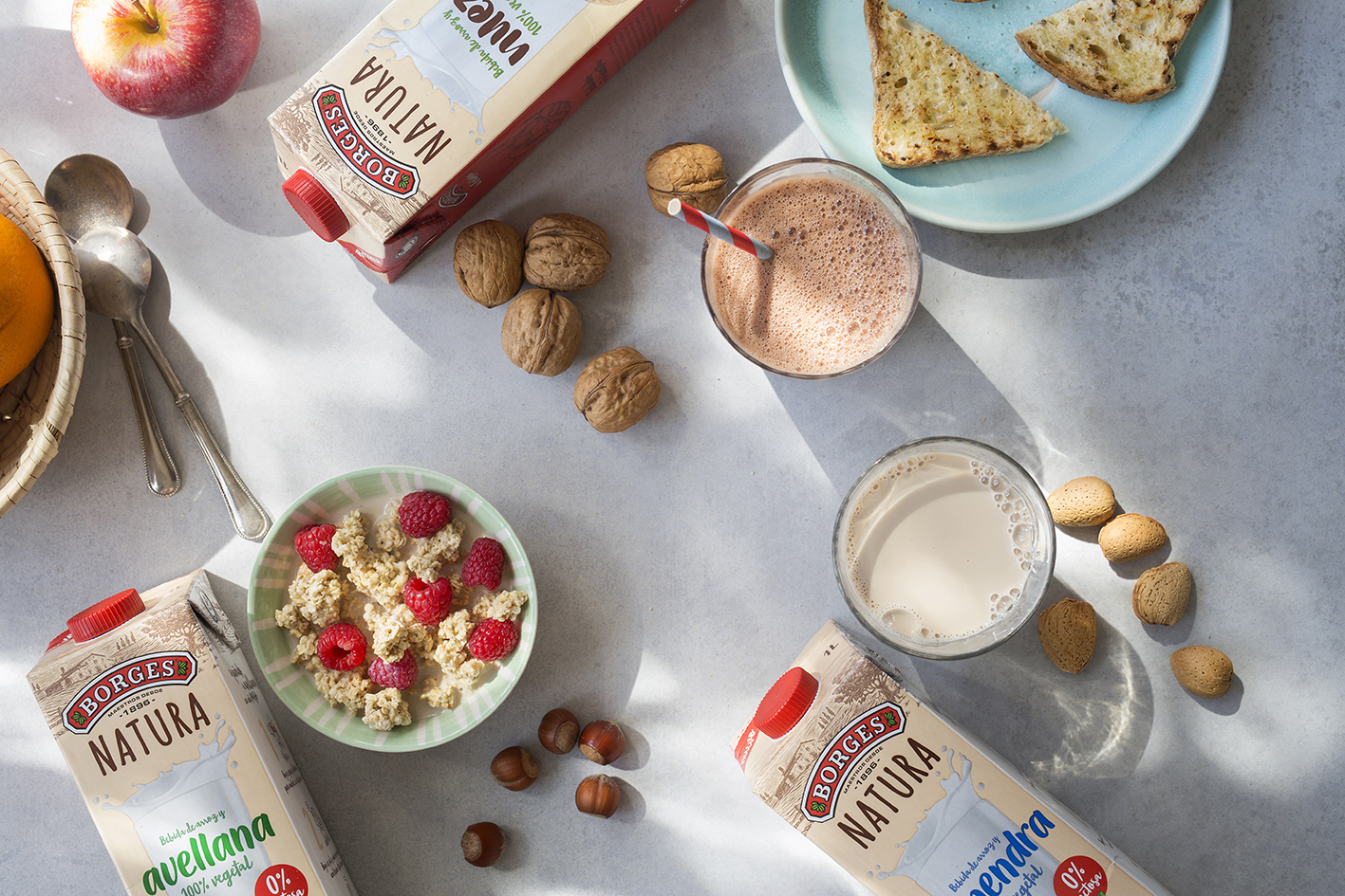¿Con cuántos frutos secos elaboramos nuestras bebidas vegetales?